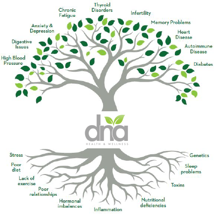 Integrative & Functional Medicine Clinics | Dubai, Abu Dhabi | DNA Health