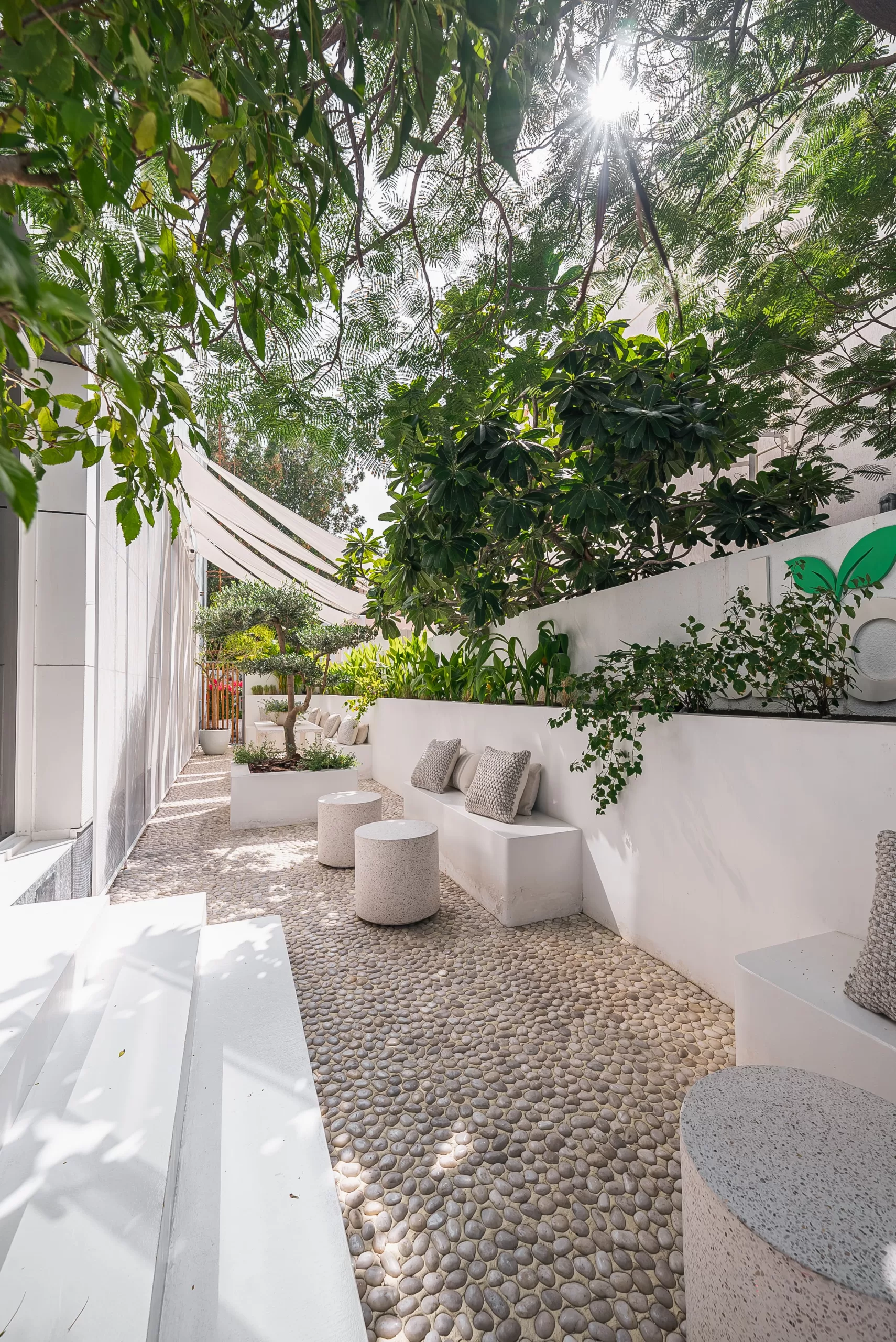 Longevity Treatments at DNA Health Clinics Dubai, UAE