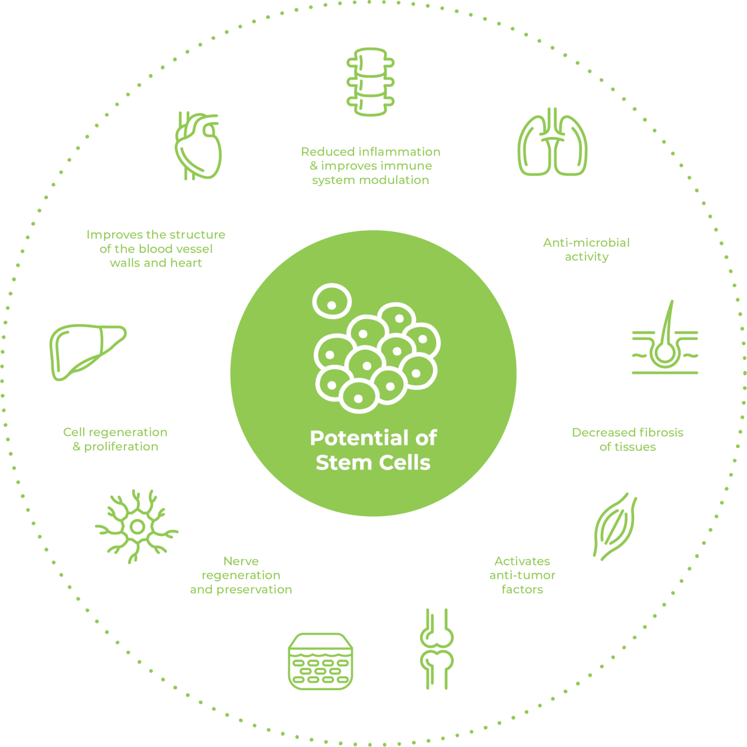 Stem Cell Therapy Treatments at DNA Health Clinics Dubai, UAE